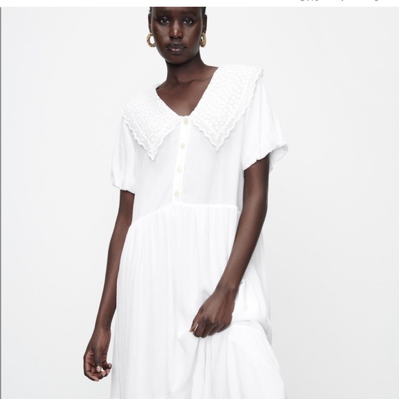 Zara | Dresses | Zara Nwt Embroidered Lapel Dress | Poshmark